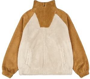 Champion Legacy C-Tech (220409) -Polar Y/D Lamb Effect Full-Zip High-Neck Sweat, Blanc (ES057), M Homme