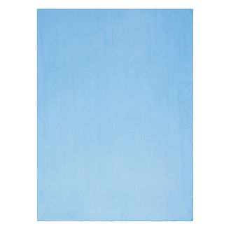 Max Mara Rivera Seidenchiffon-Stola - - Accessories - Damen - Blau - ONE SIZE