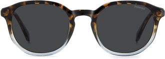 Polaroid unisex, Accessoires, Brun, Taille: 51 MM PLD 4195/S Lunettes de soleil