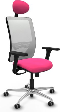 Piqueras y Crespo Rosa Zulema Schreibtischstuhl mit 3D-Armlehnen, h&ouml;henverstellbarer Lendenwirbelst&uuml;tze und festem Kopfteil, ausgestattet mit 3 Positionen und Schneidsc