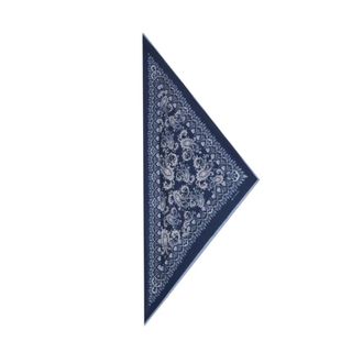 Etro Homme, Accessoires, Bleu, Taille: ONE Size Foulard en soie &agrave; motif cachemire et P&eacute;gase