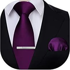 Hisdern Cravate Mauve Homme Formelle Élégante Classique Ensemble de Cravates et Mouchoir et Pince pour Mariage Affaires Fête