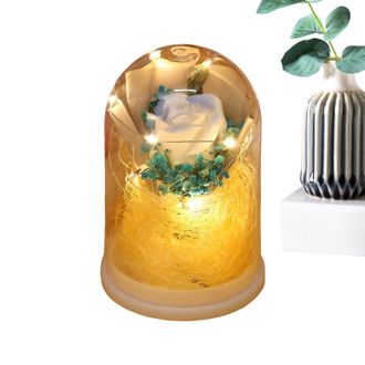 Generico Konservierte Blumen - Rosenstrau&szlig; mit Lichtkuppel, dauerhafte Blumen mit einem Licht, f&uuml;r Mutter, Frauen, Schwester, Tochter, Ehefrau, sie, Valentinst
