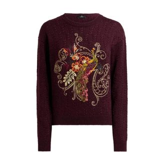 Etro Pullover mit Pfauenstickerei - - Knitwear - Damen - Braun - S