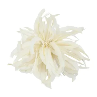 Liviana Conti Zelma Brosche - - Accessories - Damen - Wei&szlig; - ONE SIZE