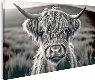 Islandburner Bild auf Leinwand Highlander Rind Porträt Schwarz Weiß Bilder Wandbilder Poster
