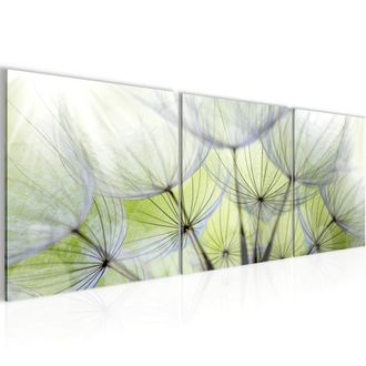 Runa Art Bilder Pusteblume 3 Teilig Bild auf Vlies Leinwand Deko Wohnzimmer Schlafzimmer 90 x 30 cm Natur Gr&uuml;n 206134a