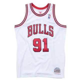 Mitchell & Ness M&N NBA Swingman Jersey 2.0 Chicago Bulls - D. Rodman, M, White