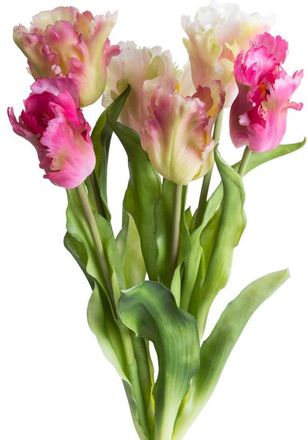 Botanic-Haus k&uuml;nstliches Tulpenb&uuml;ndel/k&uuml;nstlicher Tulpenbund Sandy Parrot mit 6 Tulpen Farbe: Pink-Beauty real Touch