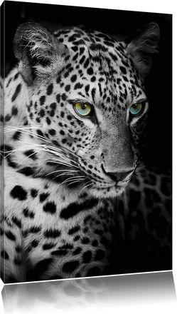 Pixxprint Nahaufnahme Leopardenkopf B&W, Größe: 100x70cm, Leinwandbild, fertig gespannt, Wandbild, Dekoration, Kunstdruck, kein Poster