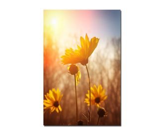 Paul Sinus Art 120x80cm - WANDBILD Blume Bl&uuml;te Sonnenaufgang Fr&uuml;hling - Leinwandbild auf Keilrahmen modern stilvoll - Bilder und Dekoration