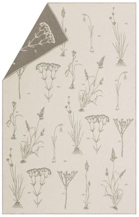 David Fussenegger Wohndecke Bett Divan &Uuml;berwurf Nova Herbarium 145 x 220 cm Rohwei&szlig;