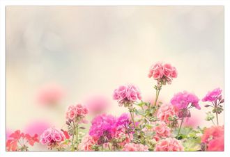 Wallario selbstklebendes Poster - Zarte Bl&uuml;ten in Rosa, Aufkleber in Premiumqualit&auml;t, Klebefolie Gr&ouml;&szlig;e: 61 x 91,5 cm (Maxiposter)