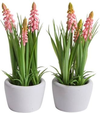 Botanic-Haus künstliches Muscariarrangement/Traubenhyazinthe im grauen Zementtopf Farbe: rosa (2 Stück)