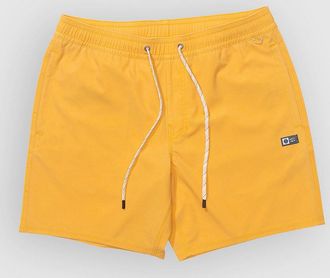 Salty Crew Seadog Volley Boardshorts mineral yellow