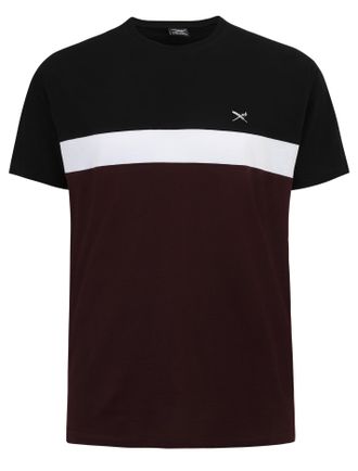 Iriedaily Herren Bio-Baumwoll T-Shirt Gestreift - Court Tee in Aubergine, XXL