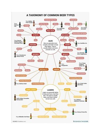Generic The Beer Lovers Guide Poster: Vintage Educational Chart of Ale vs Lager & Common Types, Wall Art Decor for Home Bar, Gift for Enthusiasts(Unframed,16x
