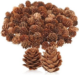 Com-Four 100x c&ocirc;nes de m&eacute;l&egrave;ze d&eacute;coratifs - d&eacute;corations dispers&eacute;es pour lautomne et lhiver - Petits c&ocirc;nes de m&eacute;l&egrave;ze comme d&eacute;corations de Table - d&eacute;corations de 