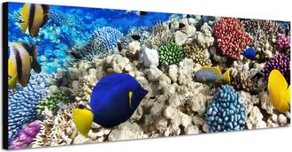 Paul Sinus Art Panoramabild auf Leinwand und Keilrahmen 120x40cm Unterwasser Riff Fische Korallen
