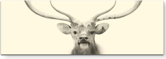 Paul Sinus Art Leinwandbilder | Bilder Leinwand 150x50cm Hirsch mit Wiese