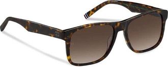 Tommy Hilfiger Sonnenbrillen 2073/S 206751 Braun