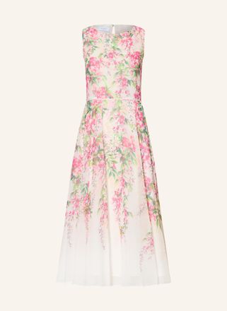 Hobb's Kleid Carly weiss