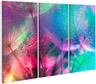 Islandburner Bild auf Leinwand Regenbogen Pusteblume Kunstwerk Farbe Licht Fantasie Fantastisch Bilder Wandbilder Poster