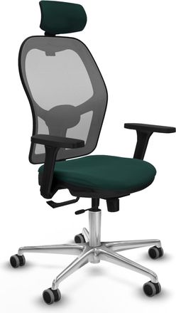 Piqueras y Crespo Ergonomischer Computerstuhl mit 3D-Armen, h&ouml;henverstellbare Lendenwirbelst&uuml;tze und h&ouml;henverstellbares Kopfteil, Grau/Flaschengr&uuml;n