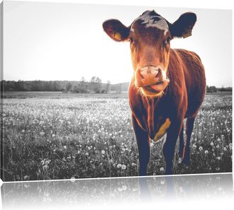 Pixxprint Einzelne Kuh auf Butterblumenwiese in der Abendsonne B&W Detail, Gr&ouml;&szlig;e: 60x40cm, Leinwandbild, fertig gespannt, Wandbild, Dekoration, Kunstdruck, kein
