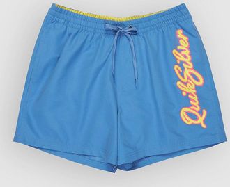 Quiksilver Everyday Malibu Volley 15 Boardshorts riviera