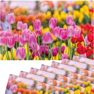 Matches 21 matches21 Frühlingshafte Tischsets Platzsets Motiv abwaschbar Pinke Tulpen Blumenwiese bunt 8er 43,5x28,5 cm
