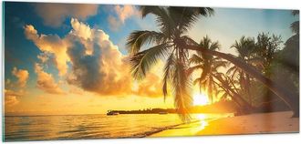 Arttor Panorama Bilder auf Glas 100x40cm Glasbild Meer Strand Palme Groß Wanddeko Bild im Glas Schlafzimmer Küche Wandbilder Dekoration Wohnzimmer Modern Wal