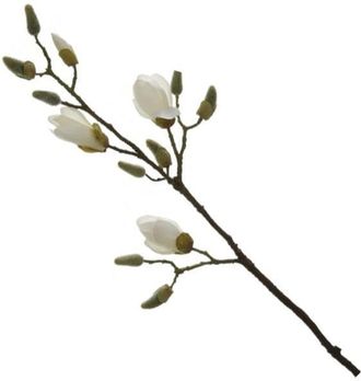 Fink k&uuml;nstlicher Magnolienzweig Weiss - Kunstfaser - Farbe: Natur - H&ouml;he 82 cm