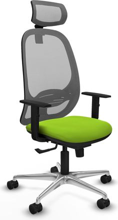 Piqueras y Crespo Cilanco B&uuml;rostuhl mit 1D-Armen, h&ouml;henverstellbare Lendenwirbelst&uuml;tze und Kopfteil, h&ouml;henverstellbar und neigbar, Grau/Pistazie