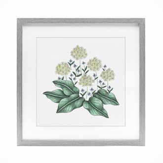 Stupell Industries Hello Wildflower Vintage-Skizze, schwarzer gerahmter Druck unter Glas, Design von Cecilia Battaini, 40,6 x 40,6 cm