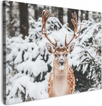 MuchoWow © Bilder 70x50 cm Wohnzimmer Deko Modern Wandbild Kunstdruck auf Leinwand Bild Schlafzimmer über Bett Room Decor Geschenke Rotwild - Schnee - Winter -