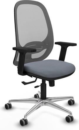 Piqueras y Crespo Cilanco Studienstuhl mit 2D-Armen, h&ouml;henverstellbare Lendenwirbelst&uuml;tze, ausgestattet mit Syncro/Traslack und Schneideschaum, Grau/Grau