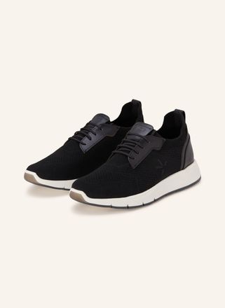 Lloyd Sneaker Echo schwarz