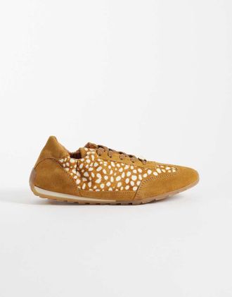 Steve Madden Bobby - Sneaker in Hellbraun