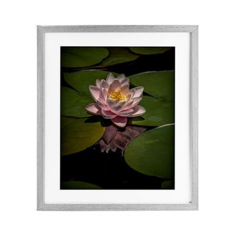 Stupell Industries Phillip Flowers Gerahmter Druck unter Glas, Design von Pink Lotus Among Lily Pads, 40,6 x 33 cm