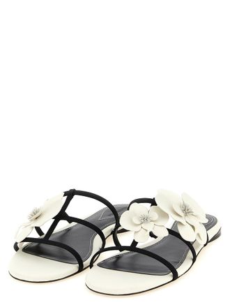 Zimmermann Orchid Slide - Cream