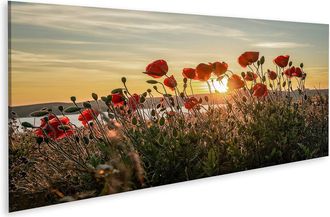 Islandburner Prime Bild auf Leinwand Rote Mohnblumen Sonne untergehend hinter über Mönchgut Ostseeinsel Rügen Wandbild Poster Leinwandbild