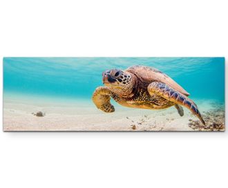 Paul Sinus Art Leinwandbilder | Bilder Leinwand 120x40cm Gr&uuml;ne Meeresschildkr&ouml;te im Pazifik