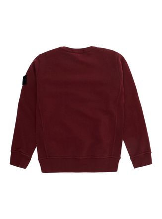 Stone Island Boys Hoodie Red Hoods & Sweatshirts