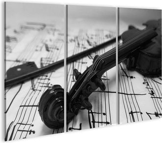 Islandburner Prime Bild auf Leinwand Geige Schwarz und Wei&szlig; Bilder Wandbilder Poster