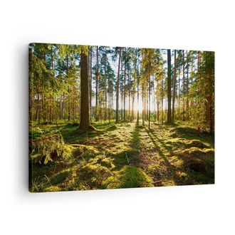 Arttor Bilder auf Leinwand Wald Baum Natur Leinwandbild mit Rahmen 70x50cm Wandbilder Dekoration Wohnzimmer Schlafzimmer K&uuml;che Deko Klein Wanddeko Bild Wand 