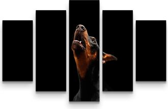 Paul Sinus Art Leinwandbilder | Bilder Leinwand 160x100cm Doberman Pinscher - Portrait