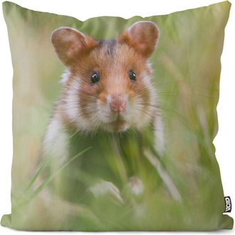 Void Watches Feldhamster Hamster Haustier Kissenbezug Kissenhülle Sofa Couch Wohnzimmer Dekoration wasserfest Outdoor Kissen bezug deko, Kissen Größe:40 x 40 cm