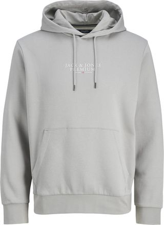 Jack & Jones Jprbluarchie Sweat Hood Noos