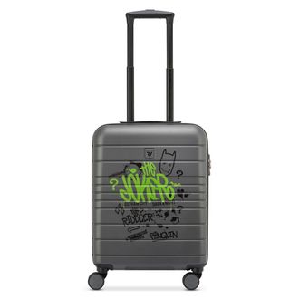 Roncato Trolley Interface